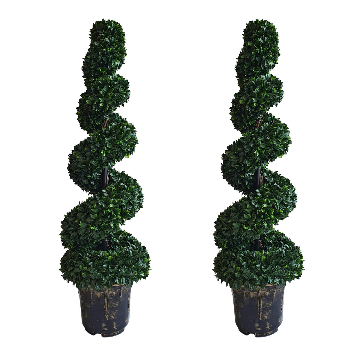 Pair of Spiral Large Leaf Boxwood Topiary Trees with Decorative Plante ...