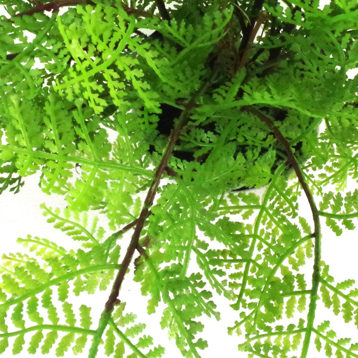Artificial Lady Fern Potted Plant 30cm – Evergreenery