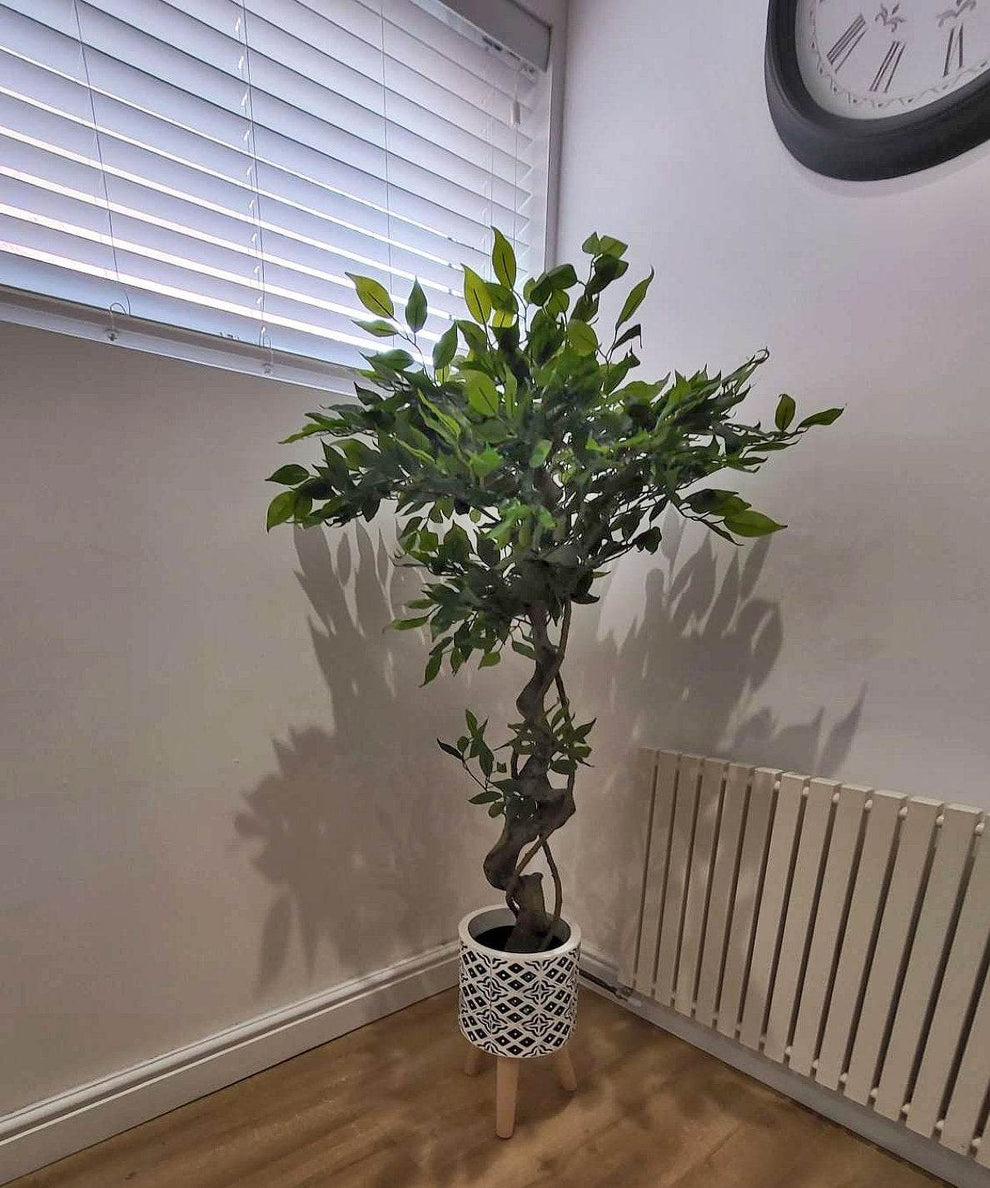 Artificial Japanese Fruticosa Tree Twisted Ficus 120cm – Evergreenery